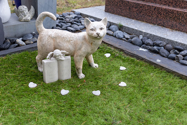 Why Using a Pet Cemetery is a Good Idea | Yadkin Valley Pet Funeral ...