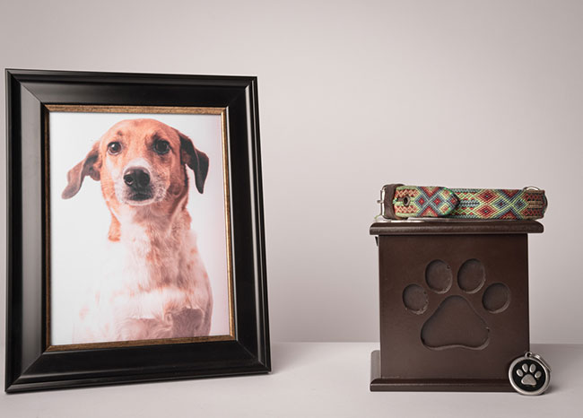 Five Pet Memorial Gifts To Remember Your Beloved Companion Yadkin