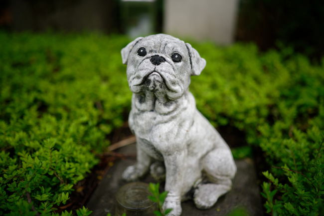 Why a Pet Cemetery Is a Good Final Resting Place | Yadkin Valley Pet ...