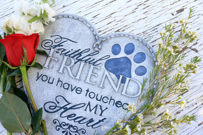 Are Pet Funeral Services Right for Your Beloved Animal? | Yadkin Valley ...